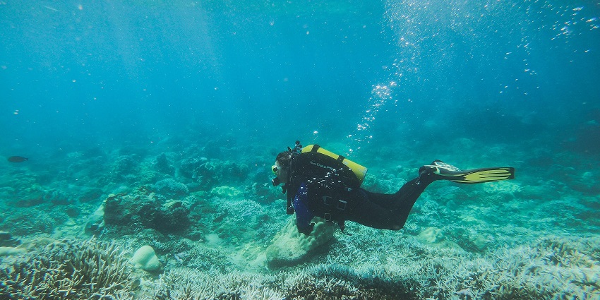 Landfall Island Wildlife Sanctuary: A Haven For Biodiversity - TripXL