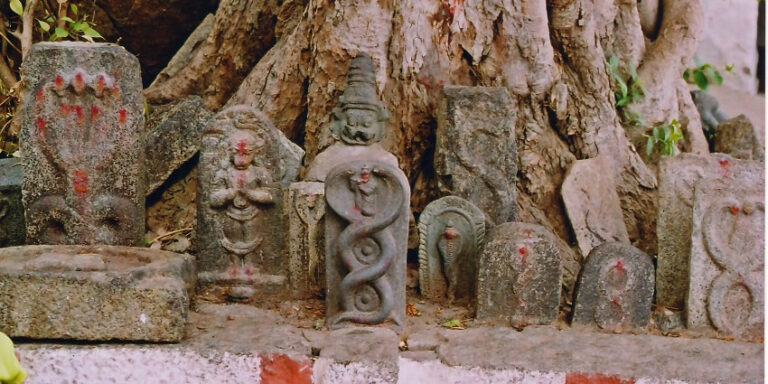 Top 14 Nagaraja Temples In Kerala For A Spiritual Solace - TripXL