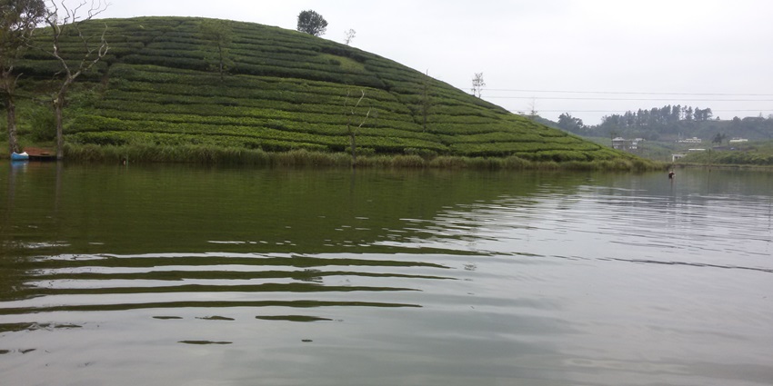 9 Places To Visit In Vagamon For A Scenic Escapade- TripXL