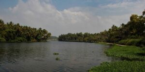 Places To Visit Near Trivandrum Within 100 Km: The Guide - TripXL