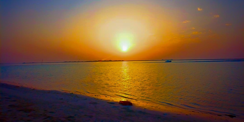 Abu Dhabi Beaches: Explore These Top 10 Sparkling Beaches - TripXL