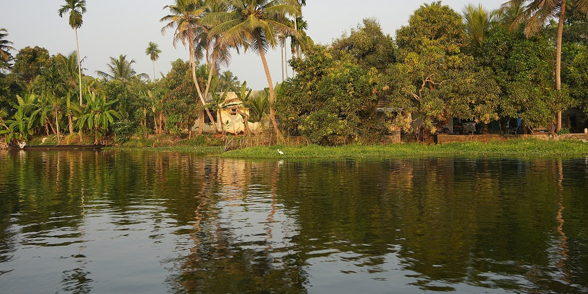 Kerala Picnic Places: 10 Destinations For All Nature Lovers - TripXL