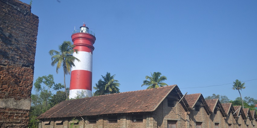 10 Popular Places To Visit In Alleppey: A Tourist's Paradise - TripXL