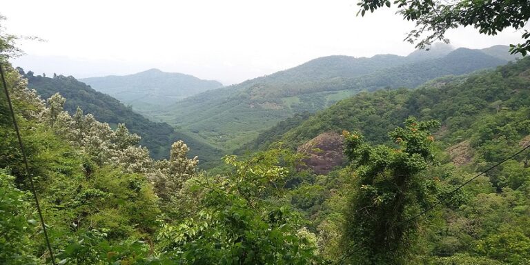 Ambanad Waterfalls: Travel Guide To Kerala’s Sparkling Falls - TripXL