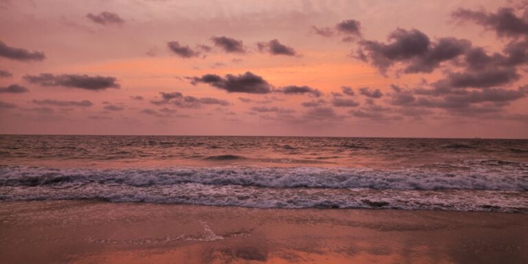 Top Ten Beaches In Kochi That Are Alluring To The Core- TripXL