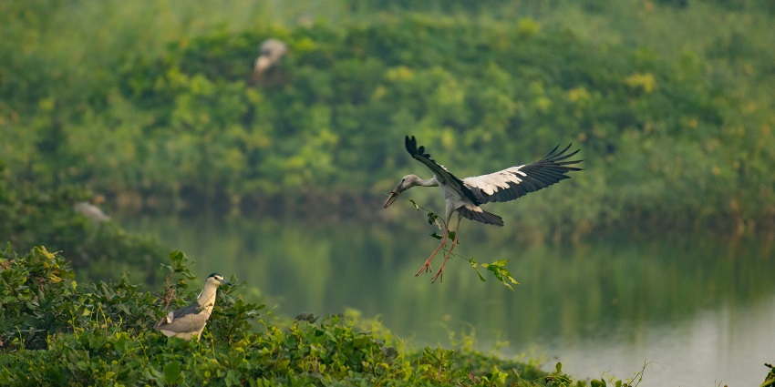 Wildlife Sanctuaries In Meghalaya: Wilderness Awaits You - TripXL