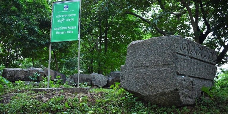 Top 13 Places to Visit in Tezpur: A Traveller’s Scenic Retreat - TripXL