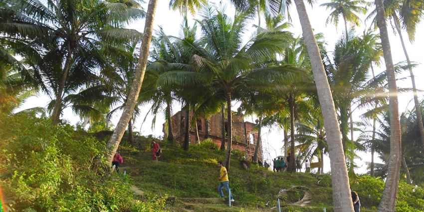 Discovering Viper Island: History, Culture, And Nature - TripXL