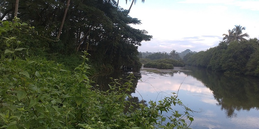 Discover Hidden Gem: Vilangad Waterfalls Nature’s Paradise- TripXL