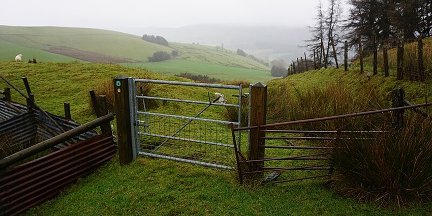 10 Best Places To Visit In Barog On Your Next Trip - TripXL