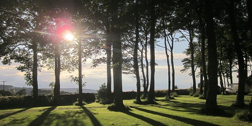 Things To Do In Barog On Your Next Thrilling Vacation - TripXL