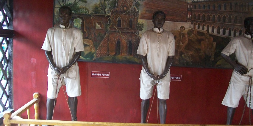 7 Museums In Port Blair Everyone Must Visit On Their Holiday - TripXL