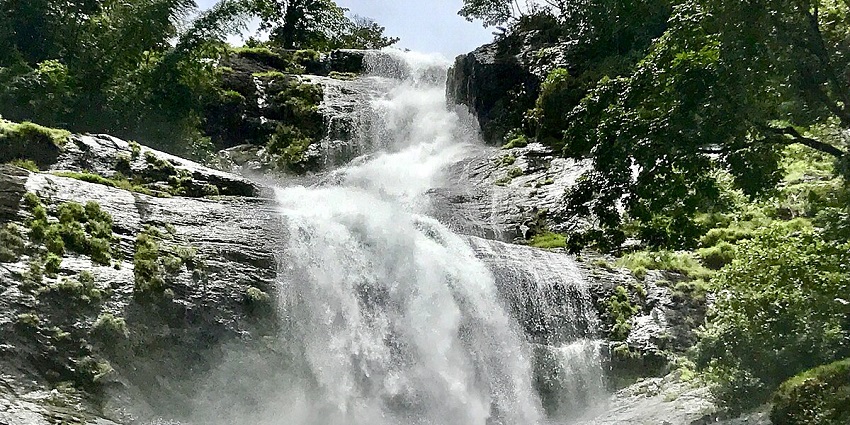 Ripple Waterfalls Munnar: Plan In Advance Before Your Trip - TripXL