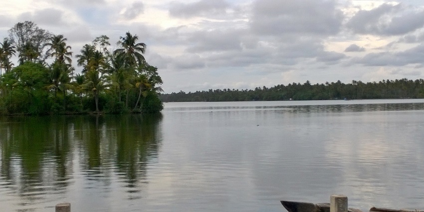 11 Amazing Things To Do In Cherai For A Perfect Vacation- TripXL