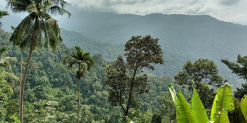 10 Places To Visit Near Kerala - The Traveller’s Guide - TripXL