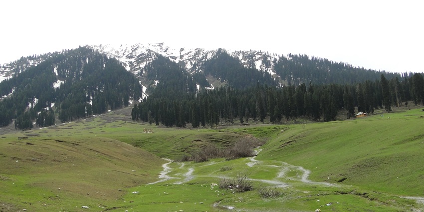 10 Best Places To Visit In Doodhpathri For Your Next Holiday - TripXL