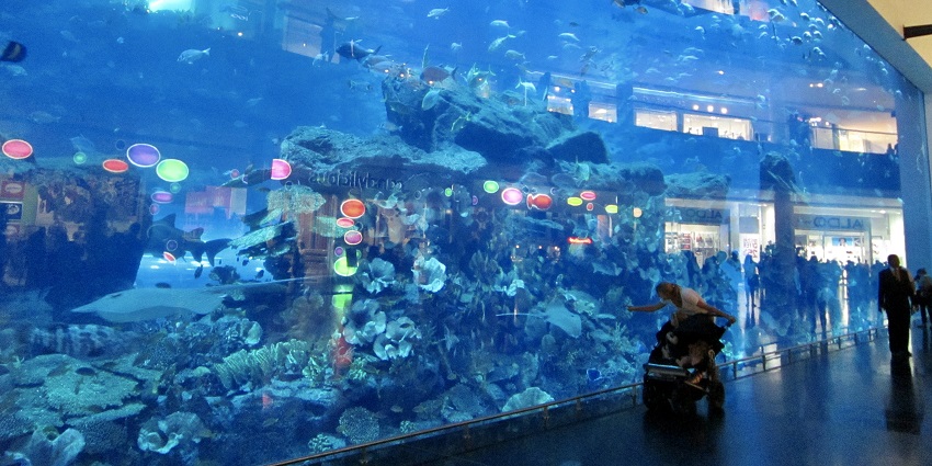 Dubai Zoos: Experience The Natural And Man-made Wonders - TripXL