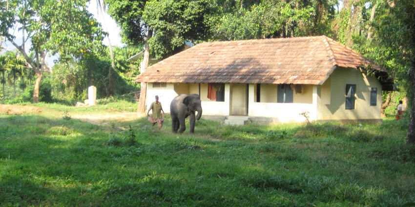 Top Zoos in Kochi: Discover Wildlife in the Heart of Kerala - TripXL