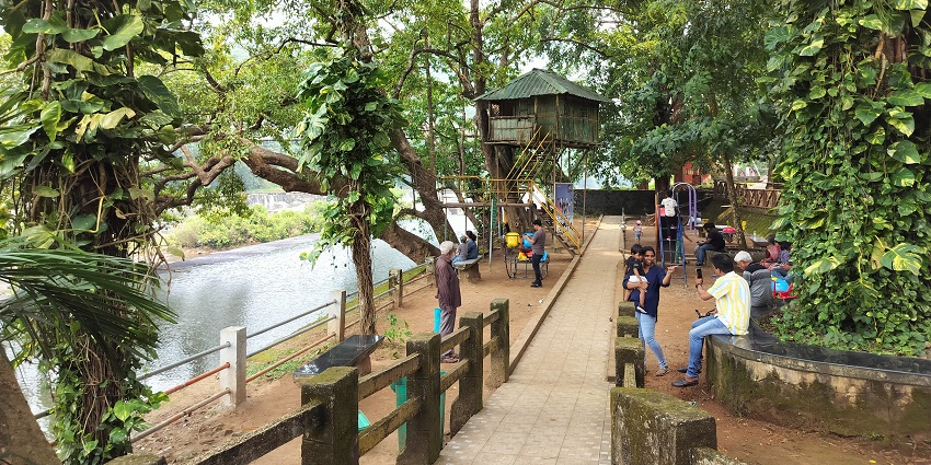 10 Best Places To Visit Near Athirapally: Hidden Gem of Kerala- TripXL