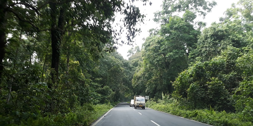 Discovering Best Places To Visit Near SIliguri: Wanderlust - TripXL