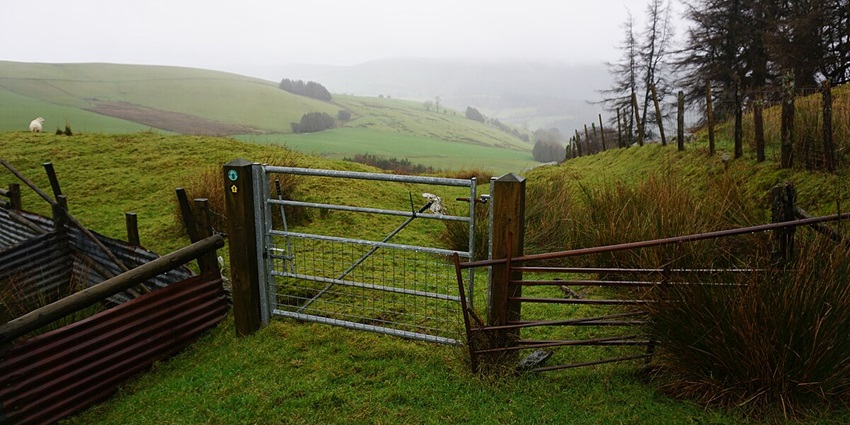 Things To Do In Barog On Your Next Thrilling Vacation - TripXL