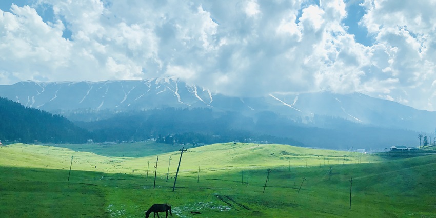 10 Places To Visit In Kashmir In August For Nature Lovers- TripXL