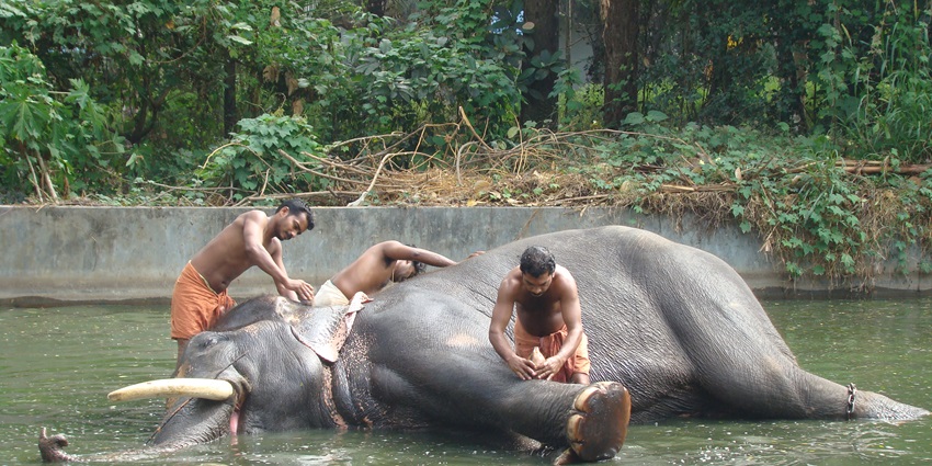 20 Places To Visit Near Guruvayur For A Perfect Escape - TripXL