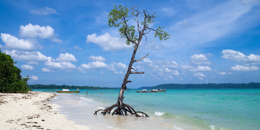 10 Places To Visit In Havelock For All Nature Lovers- TripXL