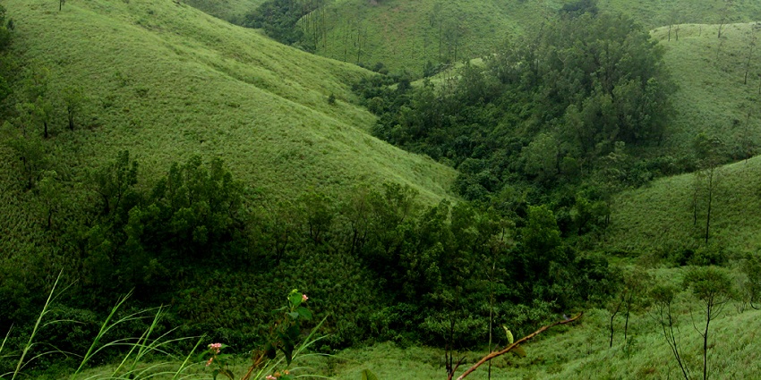 Vagamon Adventure Park: Get Ready For A Thrilling Excursion - TripXL