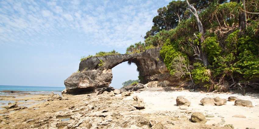 10 Places To Visit In Neil Island For Your Next Trip - TripXL