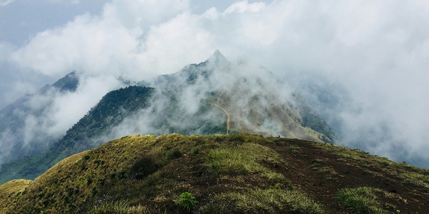 Meesapulimala Trekking: Discover the Enchanting Hills of Kerala - TripXL
