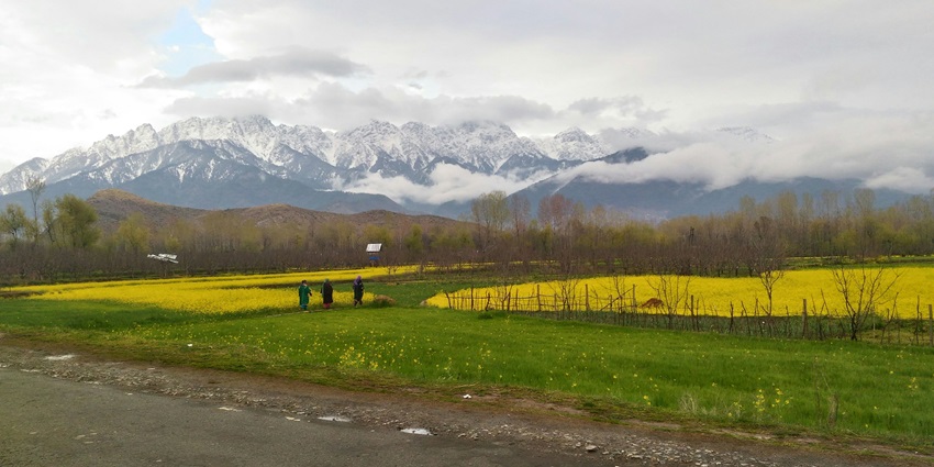 10 Places To Visit In Kashmir In August For Nature Lovers- TripXL