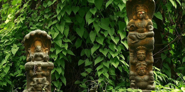 Top 14 Nagaraja Temples In Kerala For A Spiritual Solace - TripXL