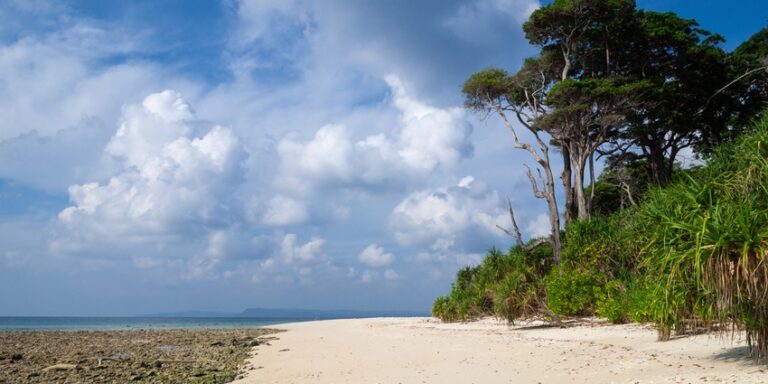 13 Amazing Things To Do In Varkala For A Ravishing Experience - TripXL