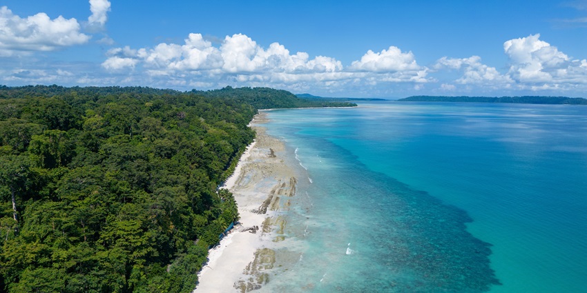 Elephant Beach: A Handy Guide For Your Upcoming Expedition - TripXL