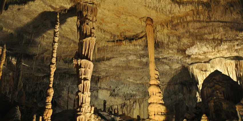 Majestic Caves In Kerala: Explore The Hidden Gems Of Kerala - TripXL