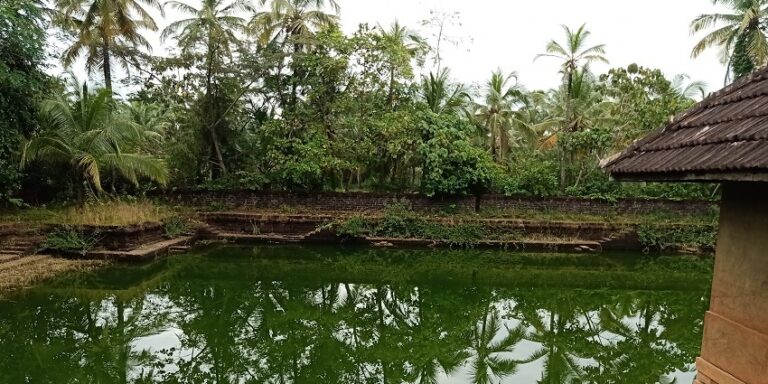 Top 10 Kuttichathan Temples In Kerala To Awaken Your Spirituality - TripXL
