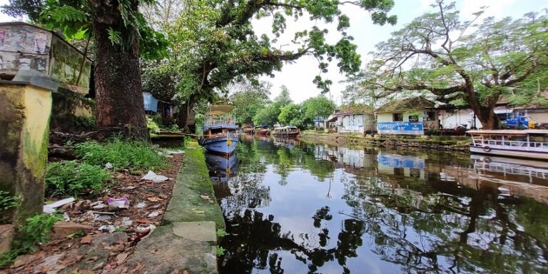 Snake Temples In Kerala: Pay Your Homage To Serpent Deity - TripXL