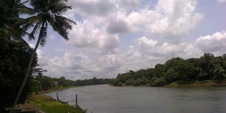 Snake Temples In Kerala: Pay Your Homage To Serpent Deity - TripXL