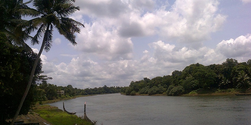 Snake Temples In Kerala: Pay Your Homage To Serpent Deity - TripXL