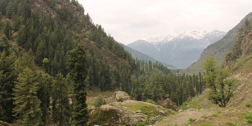 Kishtwar National Park: All The Details You Need To Know - TripXL