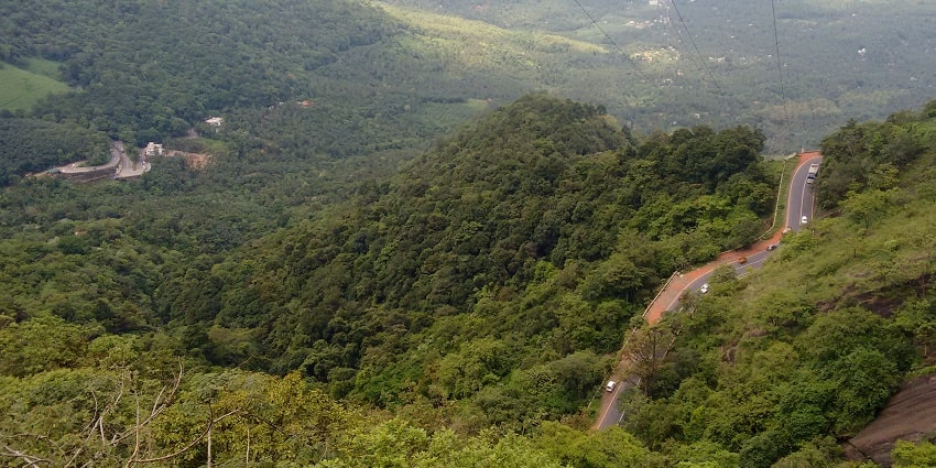 Places To Visit In Vythiri: Witness Scenic Charm At Its Best - TripXL