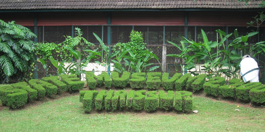 Explore The Thrissur Zoo: A Most Advanced Wildlife Spot - TripXL