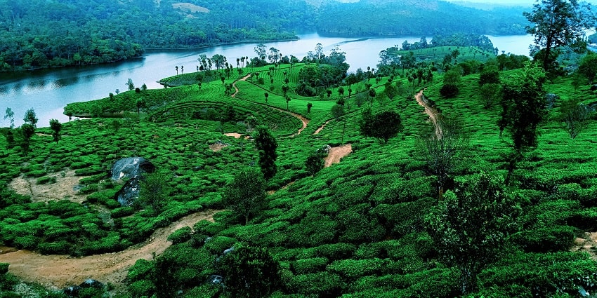 Dhoni Waterfalls: A Majestic Marvel For Every Nature Lover - TripXL