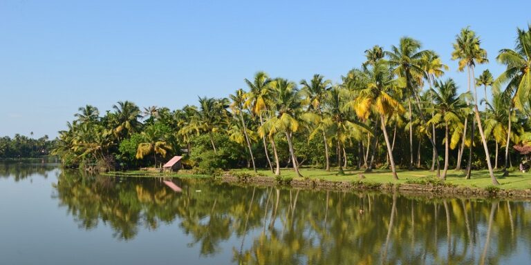 Malom Wildlife Sanctuary: Explore The Nature And Wildlife - TripXL