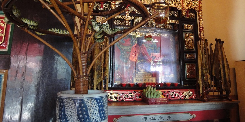 Snake Temples In Kerala: Pay Your Homage To Serpent Deity - TripXL