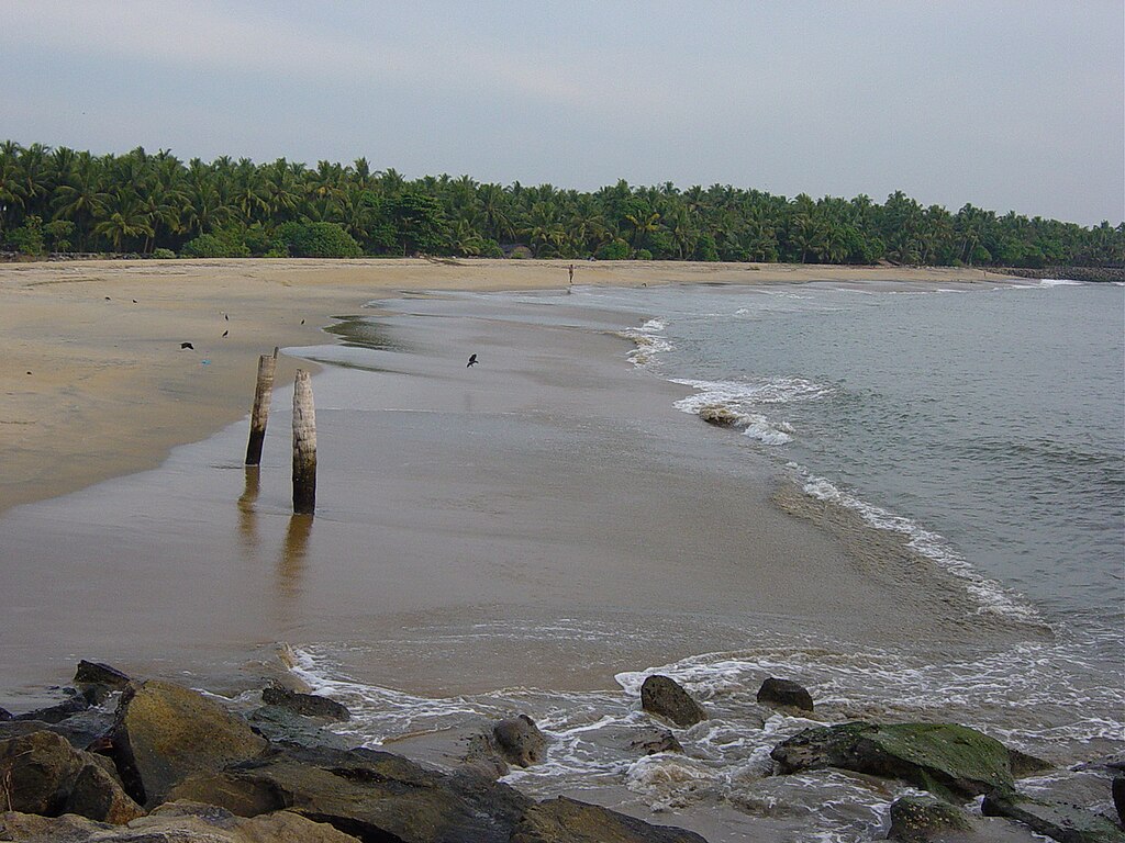 Top Ten Beaches In Kochi That Are Alluring To The Core- TripXL