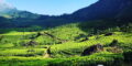 10 Places To Visit In January In India To Kickstart The New Year - TripXL