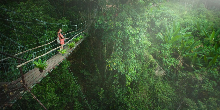 Top 15 Places To Visit In Munnar: A Traveller’s Guide Book - TripXL