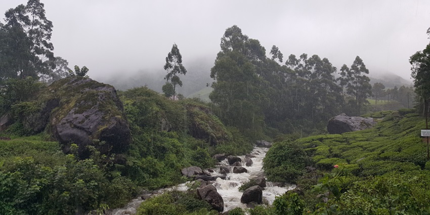 Munnar Waterfalls: Explore The Ethereal Beauty Of Kerala- TripXL